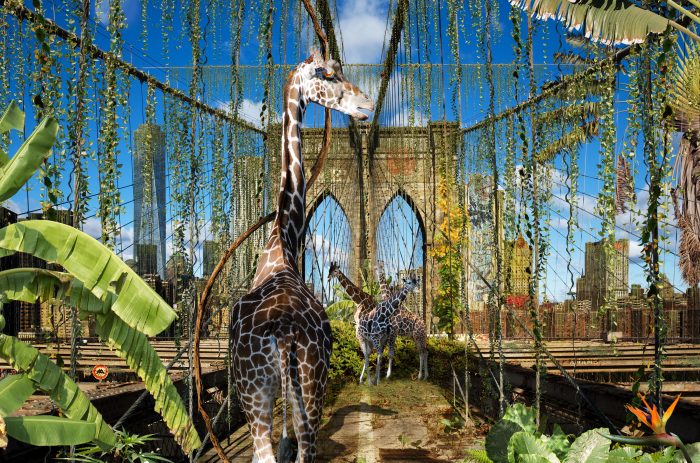 INSPIRATION #25 : Chris Morin-Eitner | zest for art - Blog art, culture ...